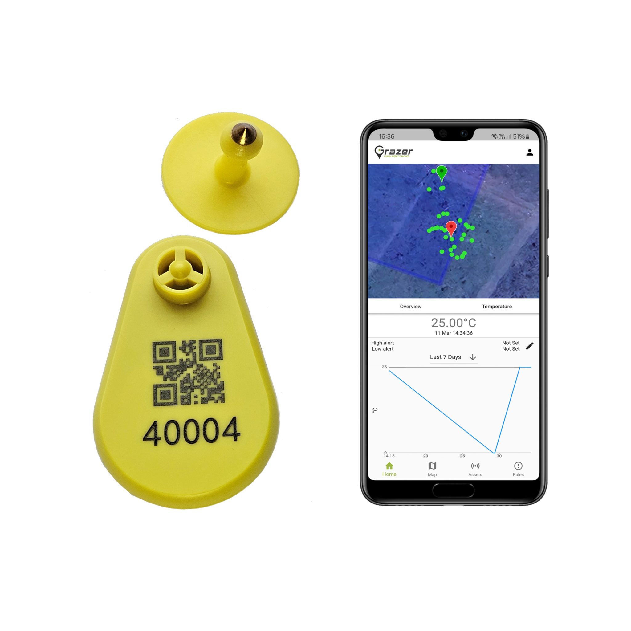 Livestock Tracking Ear Tags – Grazertrack – Every Asset Tracked